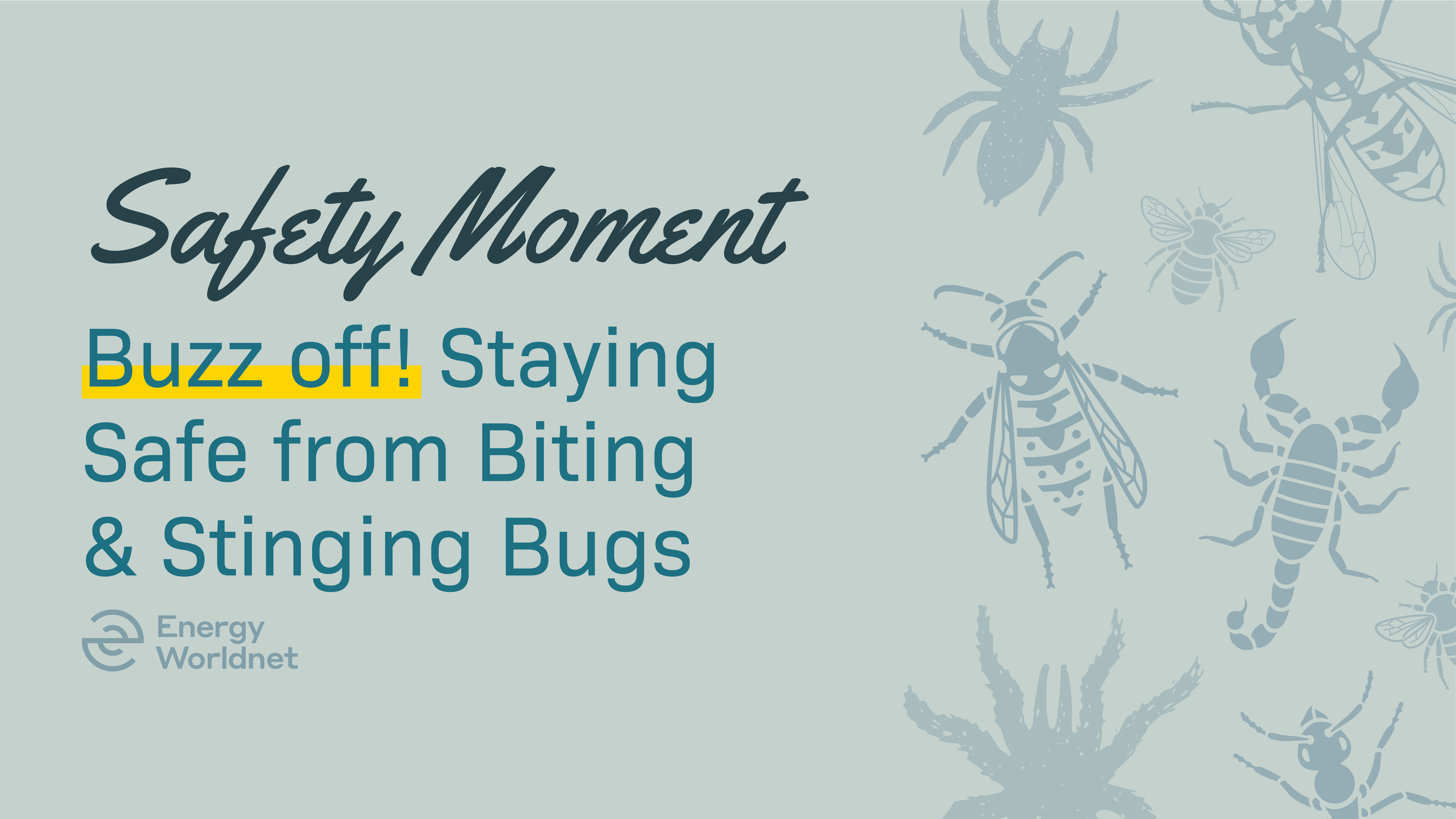 Safety Moment: Buzz Off! Staying Safe from Biting and Stinging Bugs