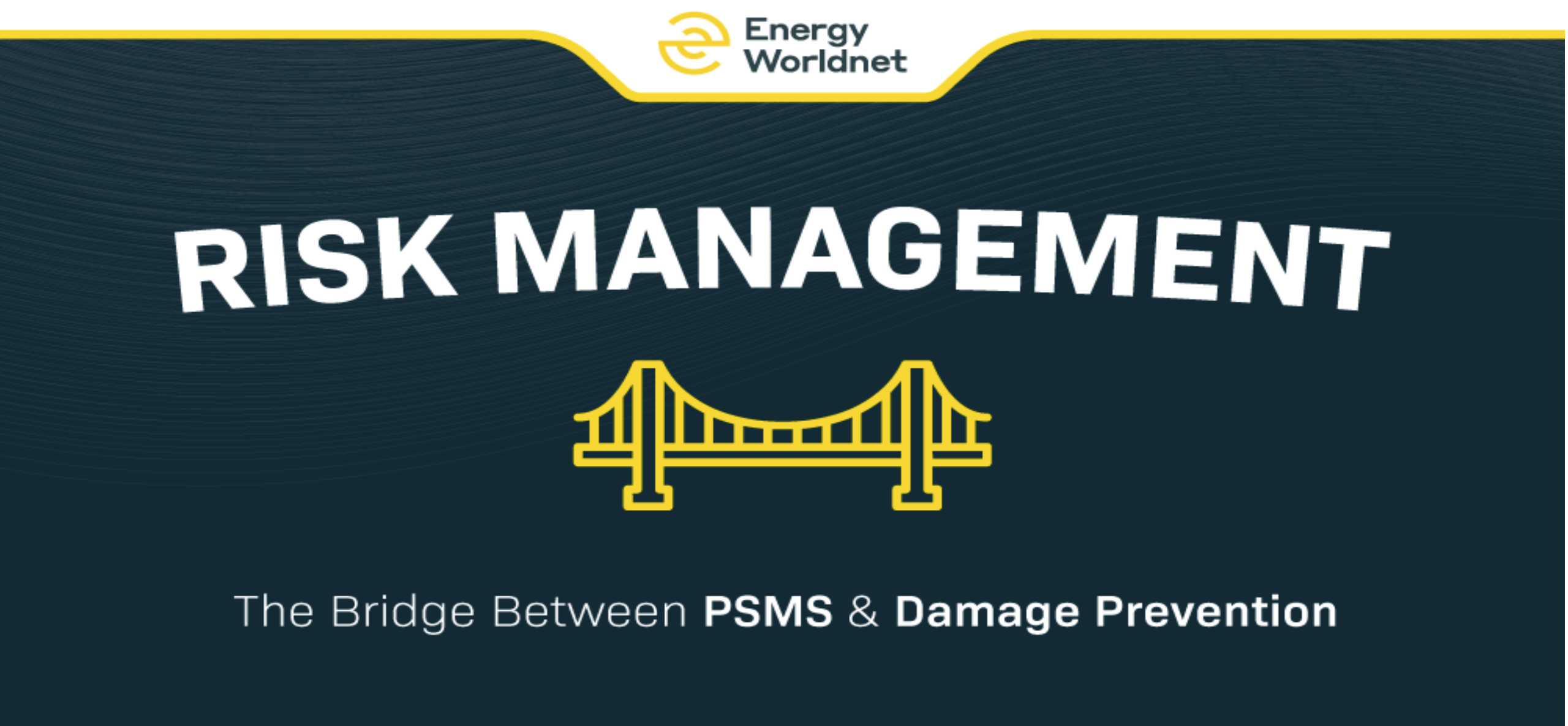 Risk Management: PSMS and Damage Prevention